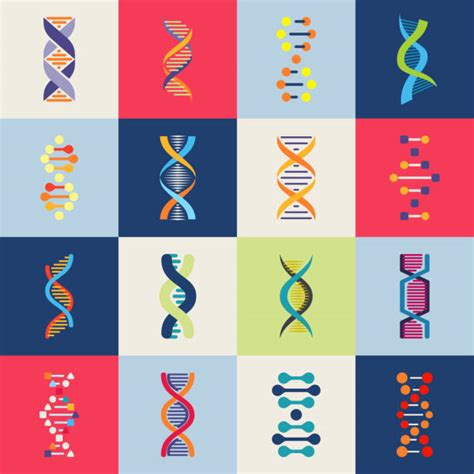 300 Genome Sequencing Icon Stock Illustrations Royalty Free Vector Graphics And Clip Art Istock