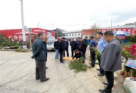 县林业局：开展林木种苗执法检查专项行动 平江县政府网