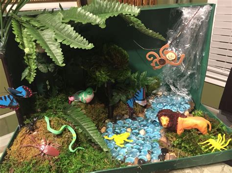 Rainforest Ecosystem Diorama