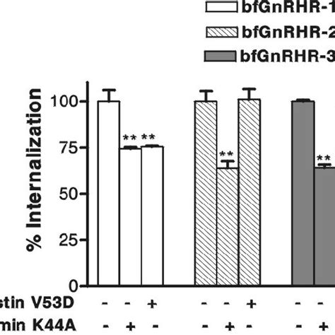 Summary Of Internalization Assay Download Table Summary Of Internalization Assay Download Table
