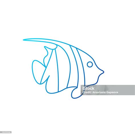 얼룩말 천사 윤곽 아이콘 해양 생물 몰디브 다이빙 파란색 그라데이션 기호입니다 격리된 벡터 그림 개념에 대한 스톡 벡터 아트 및 기타 이미지 Istock