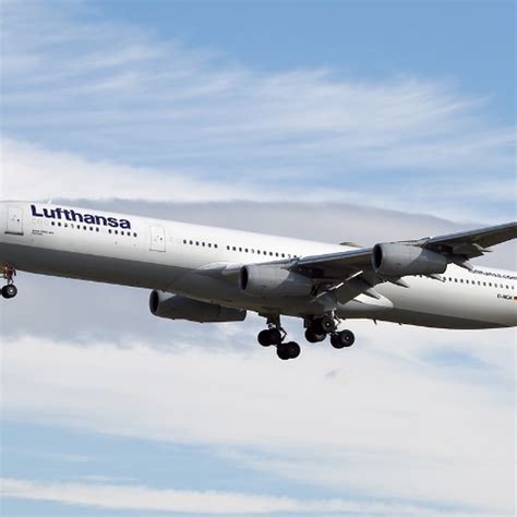 Alem Muhović Youtube