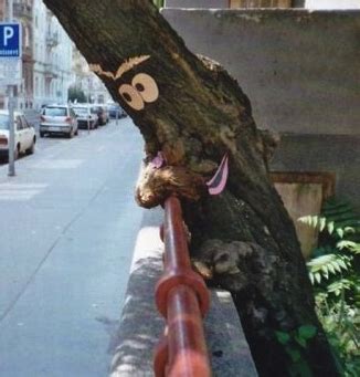 Meme Maker Crude Sex Joke Tree Meme Generator At Meme Maker
