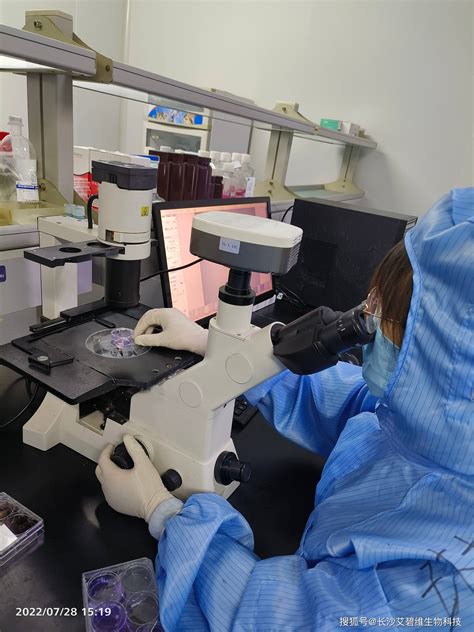 长沙艾碧维生物实验室图片 细胞观察 搜狐大视野 搜狐新闻