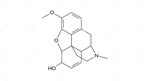 Codeine Molecule Structural Chemical Formula Ball And Stick Model Isolated Image Opiate Stock