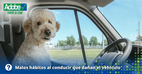 Malos hábitos al conducir que dañan el vehículo Adobe Total Fleet