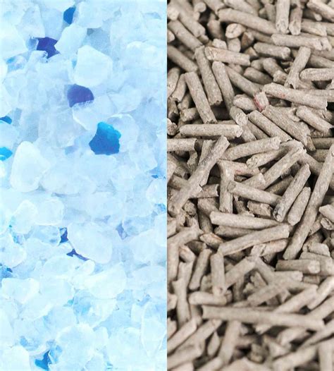 Tofu Cat Litter Vs Crystal Cat Litter Tuft Paw