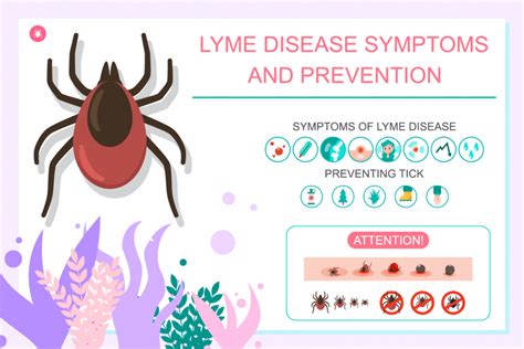 Ticks And Disease Understanding The Dangers Of Tick Borne Illnesses