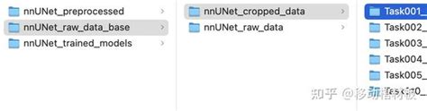 nnunet 库入门流程 知乎