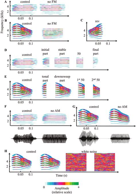 Spectrograms Of Temporal Modifications Of Female And Male Calls Used In Download Scientific