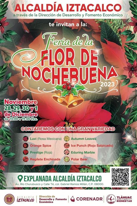 Feria De La Flor De Nochebuena 2023 En Cdmx Dónde Y Cuándo Se Llevará