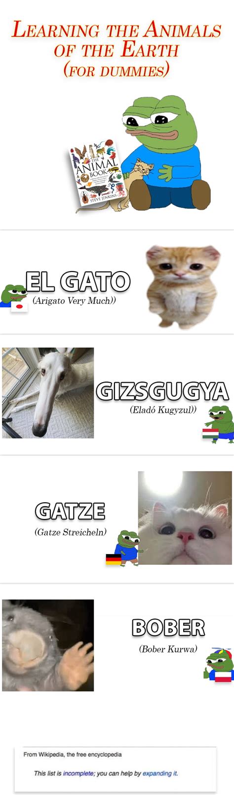 Make Sure To Remember The Correct Terminology Gag