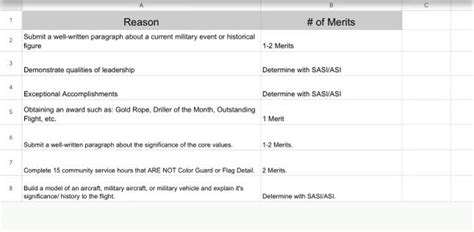 Merit Demerit System Afjrotc Fl 802