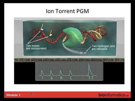 Free Video Bioinformatics For Cancer Genomics 2012 From Bioinformaticsdotca Class Central