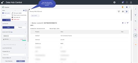 save and manage queries using hub central