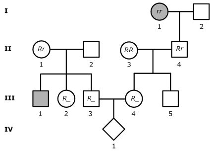 Solved Part D Calculating Probabilities In Pedigrees Th Chegg