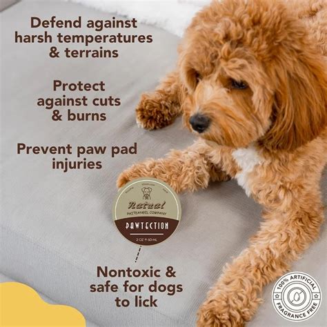 All Natural Dog Paw Balm And Moisturizer Nourishing Dog Paw Protector