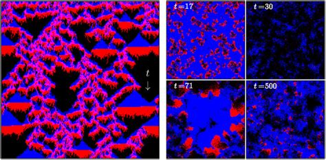 Aging Scaling Plot Double Logarithmic For The Scaled Predator Density Download Scientific