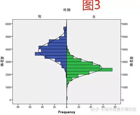 图形的绘制——人口金字塔图 知乎