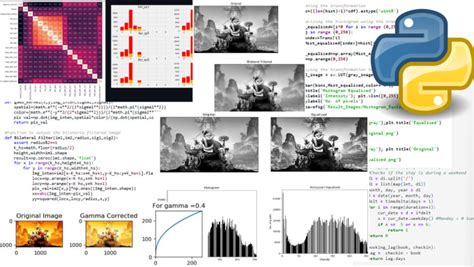 Do Python Programming And Tkinter Gui Projects By Kalana Fiverr