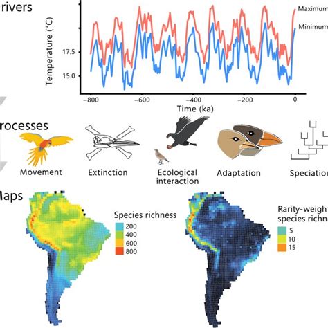Models For Predicting Continental Species Richness Community Level