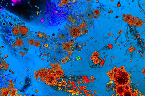 Multiverse Theories Do Alternate Universes Exist