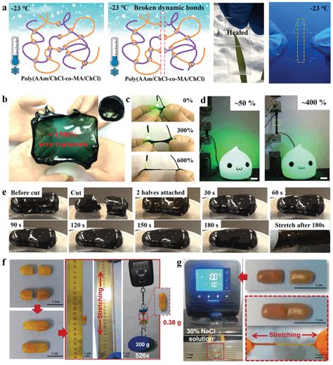 Self‐healing Conductors For Flexible Electronics A Self‐healing Download Scientific Diagram