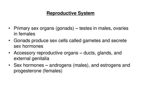 The Reproductive System Ppt Download
