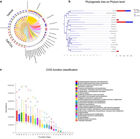 16s Ribosomal Rna Gene Sequencing Analysis After Exposure To Tio2nps A