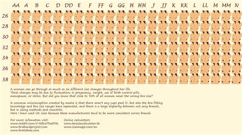 Different Breast Size Chart