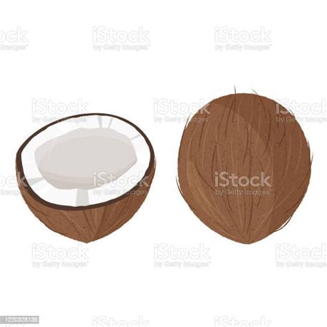신선한 전체와 반 코코넛 흰색 배경에 격리 된 현실적인 벡터 그림입니다 코코넛에 대한 스톡 벡터 아트 및 기타 이미지 코코넛 0명 갈색 Istock