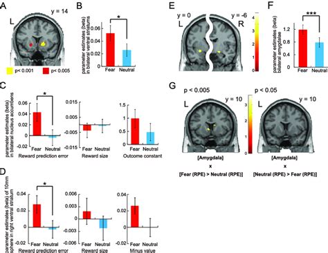 Fmri Results A Activity In The Right Vstr 18 16 4 And Activity In Download Scientific