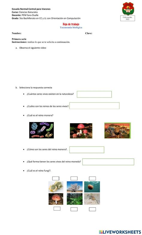 Hojas De Trabajo De Taxonomía