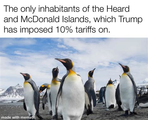 The Best Tariffs Memes