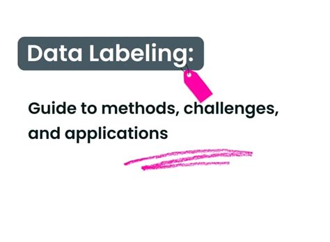 Data Labeling Expert Guide To Efficient Ai Annotation