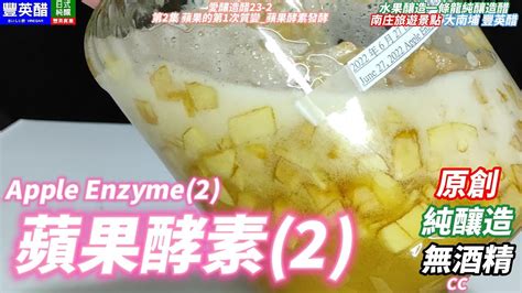 原創純釀造無酒精 蘋果酵素飲2蘋果酵素發酵cc天然發酵apple Enzyme2アップル酵素2 사과 효소（2）enzima