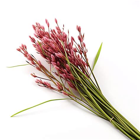 Premium Ai Image Red River Switchgrass Forest Green Small Bouquet