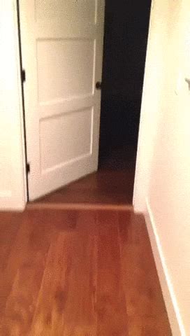 Doggy Style S Find And Share On Giphy
