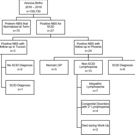 From 2018 To 2019 A Total Of 7 SCID Diagnoses Were Made In A Timely Download Scientific