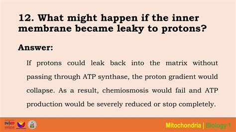 Biology 1 Qtr 2 Lesson 4 Structure Of Mitochondria Pptx