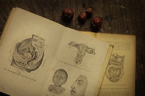 Body Language On Behance