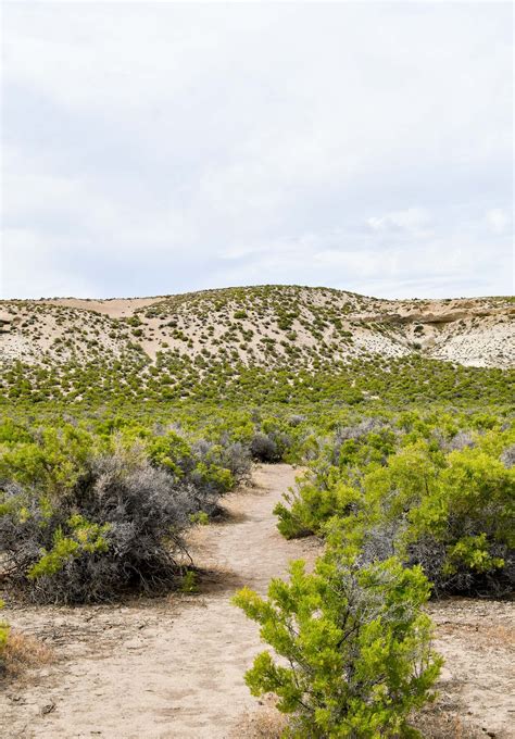 Summer Solstice Hike At Shoofly Oolite In Southwest Idaho