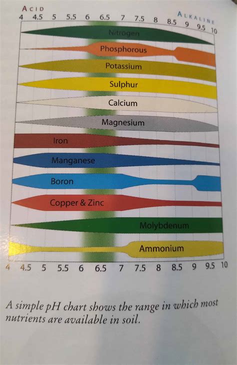 Ph The Most Important Kind Of Deficiencies And Excess Percys