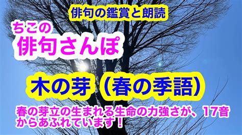 【俳句さんぽ・第112回】木の芽（春）春の目立の生まれる生命の力強さが17音からあふれています🌱 Youtube