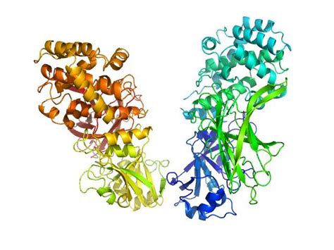 Scp 3966 Falling Out Wiki Scp Foundation Amino