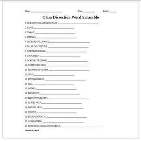 Dissection Word Scramble Collection