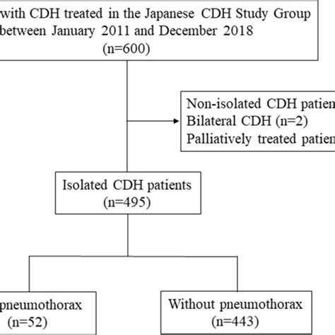The Patients Included For Analysis Cdh Congenital Diaphragmatic Hernia Download Scientific