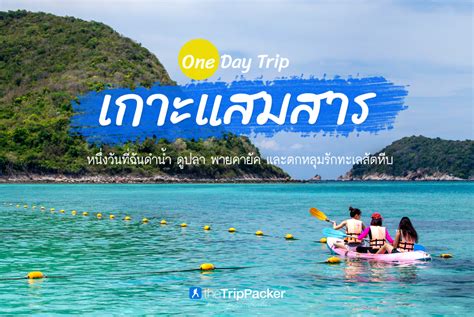 One Day Trip เกาะแสมสาร หนึ่งวันที่ฉันดำน้ำ ดูปลา พายคายัค และตก