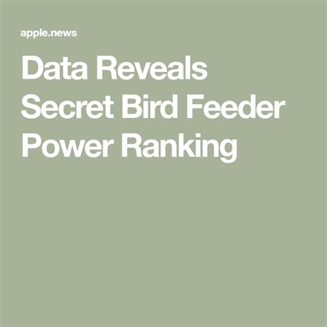 Data Reveals Secret Bird Feeder Power Ranking — Southern Living Bird
