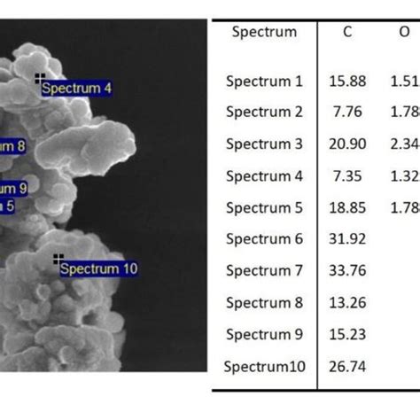 Figure1 Sem Images A Initial Tic B Tic Ni 1 Sample C Download Scientific Diagram